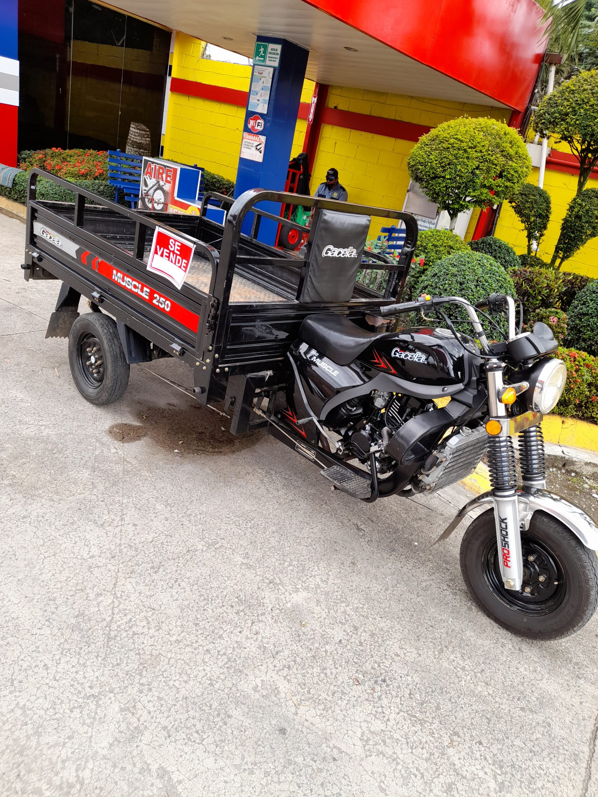 Motor de 3 gomas gacela 2020 - El Pulgaraso